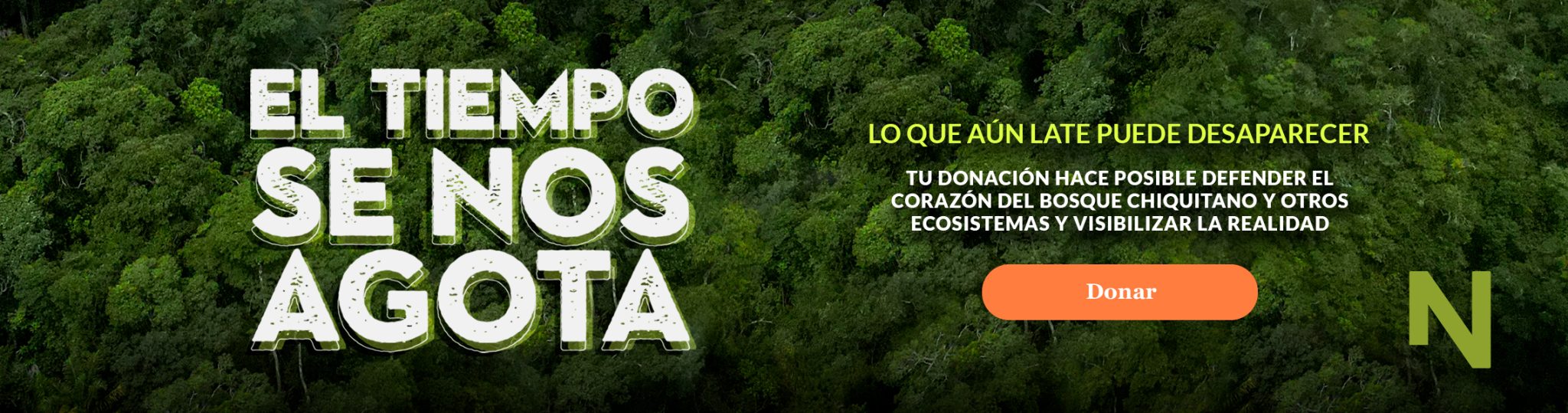 ¿Capiguara, capivara o capibara? - Revista Nómadas
