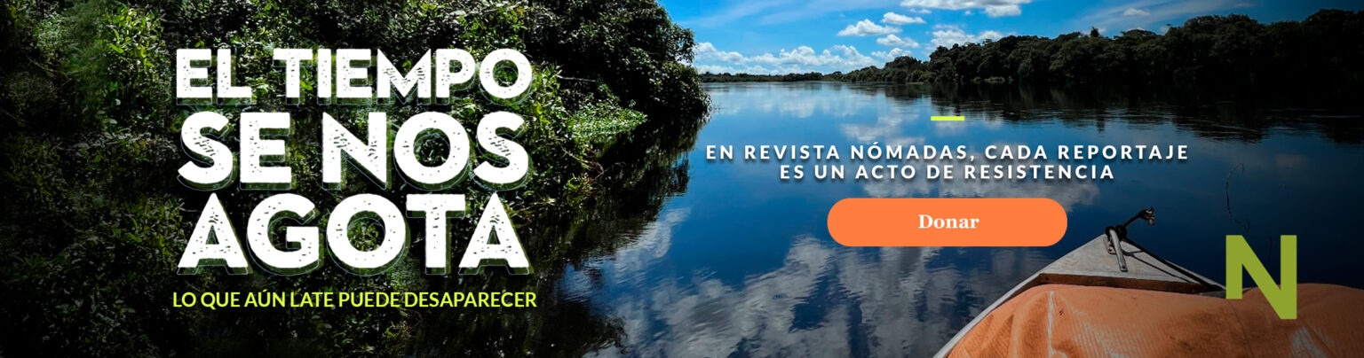 ¿Capiguara, capivara o capibara? - Revista Nómadas