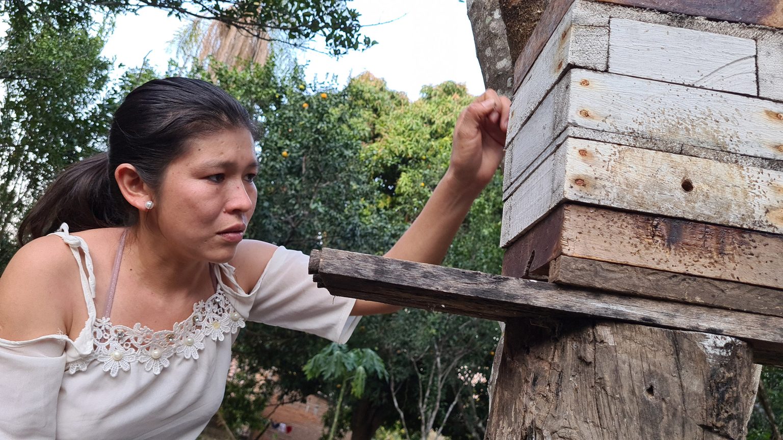 La desesperada huida de las abejas: buscan escapar de los incendios y ...